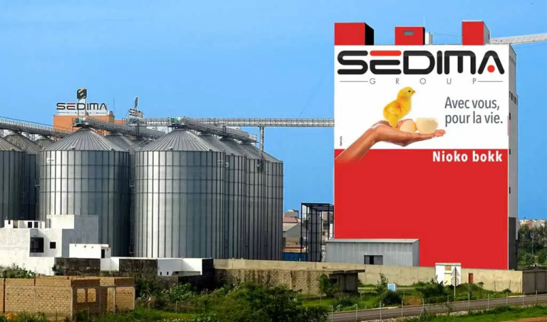 Offre d'emploi : Le Groupe SEDIMA recrute plusieurs profils H/F ...