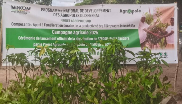 Agropole Sud : un projet stratégique à 82 % d’avancement, bientôt ...